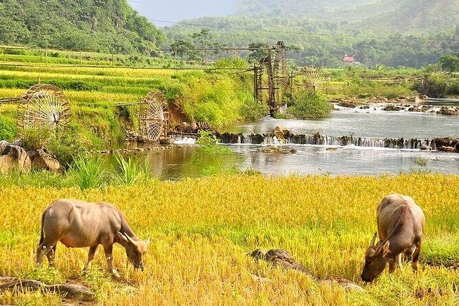 Pu Luong Morning Hike, Rafting, Water Wheels & Culture - Transport, Group Size, and Timing