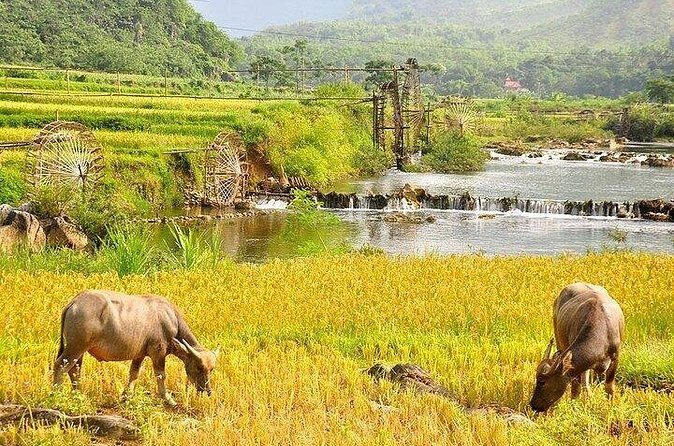 Pu Luong Morning Hike, Rafting, Water Wheels & Culture - The Value of This Experience
