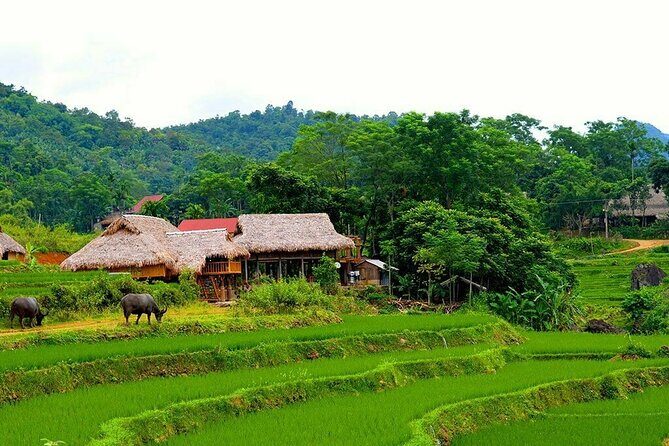 Pu Luong Nature Reserve 2 Days 1 Night Tour from Hanoi - Transportation and Logistics