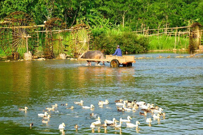 Pu Luong Nature Reserve and Ninh Binh Heritage 3 Days from Hanoi - Who Will Love This Tour?