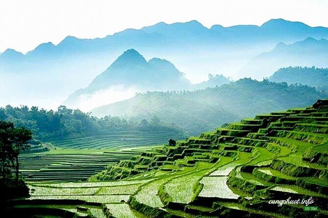 Pu Luong - Ninh Binh 3 Days 2 Nights - Join in Small Group - Day 3: Ninh Binh’s Historical and Natural Wonders