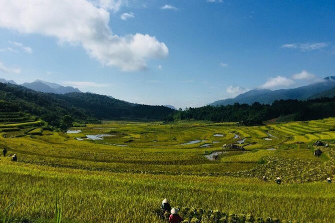 Pu Luong Offbeat Trekking Tour 2 Days 1 Night from Hanoi - What Makes This Tour Stand Out?