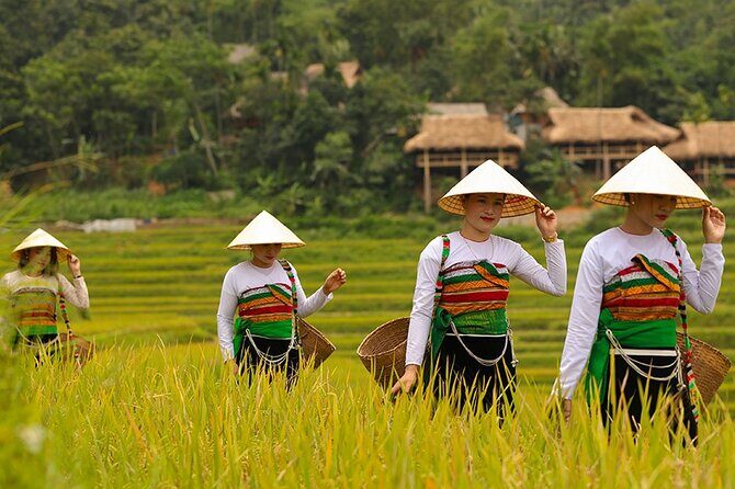 Pu Luong Uncovered 1-Day Trekking and Village Adventure - Refresh at Hieu Waterfall & Traditional Water Wheels