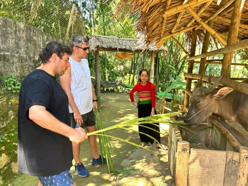 Pu Luong Village Life: Cycling, Local Cooking & Buffalo Cart - Practical Details and What to Keep in Mind