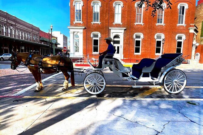 Public Group Historical Carriage Tour of Galveston - An In-Depth Look at the Carriage Tour Experience