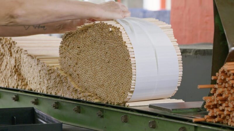 Public guided tour: Production of "wood-cased pencils" - Frequently Asked Questions