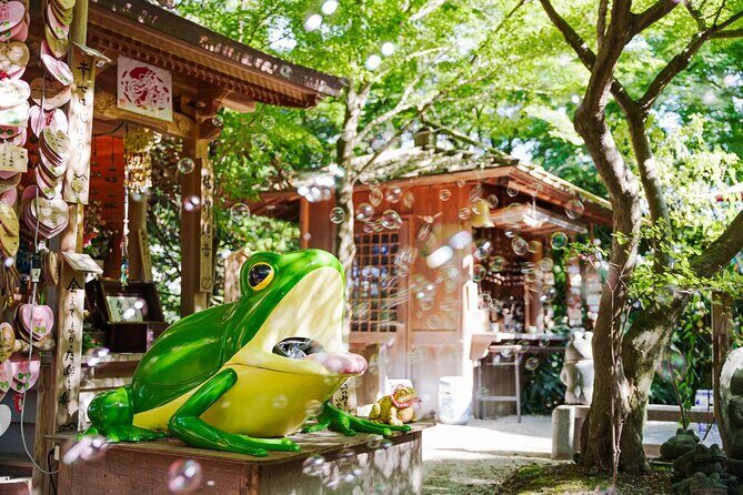 Public Temple and Shrine Bus Tour from Fukuoka - Who Will Love This Tour?