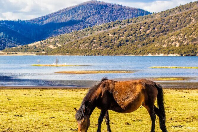 Pudacuo White Water Terrace and Tiger Leaping Gorge Private Tour - Who Would Love This Tour?