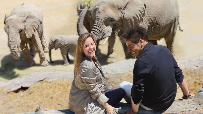 Puebla Africam Safari Park, Live an Unforgettable Adventure! - An In-Depth Look at the Tour