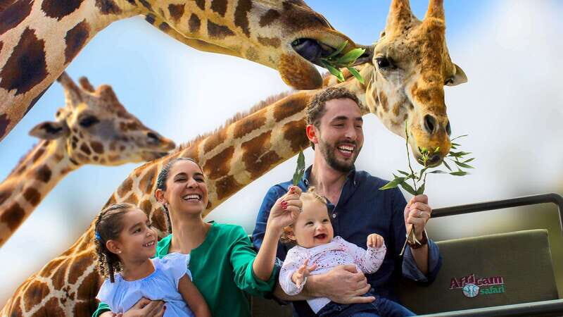 Puebla Africam Safari Park, Live an Unforgettable Adventure! - The Sum Up