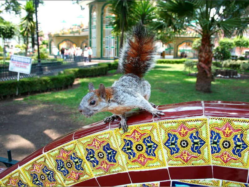 Puebla: Magical Atlixco, Volcano, Unique Garden & Plant Maze - What’s Included and Excluded