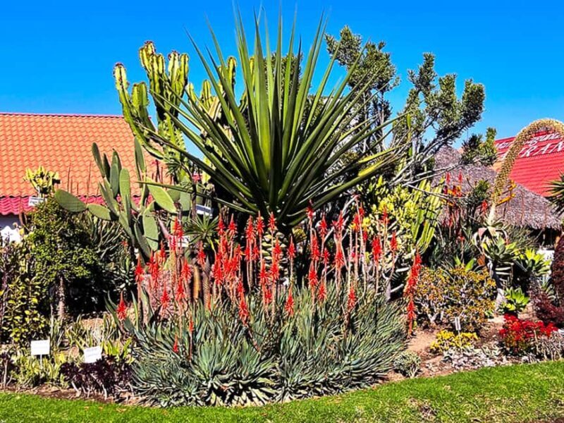 Puebla: Magical Atlixco, Volcano, Unique Garden & Plant Maze - Authentic Experiences and Authentic Guidance