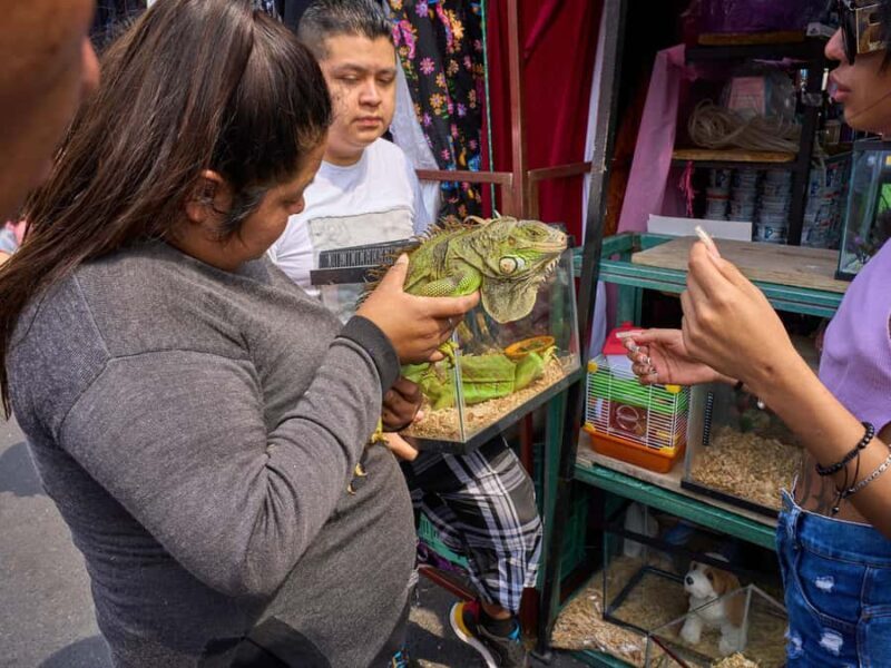 Puebla: Street Markets Private Tour  The Mexican Experience - Exploring Pueblas Vibrant Markets