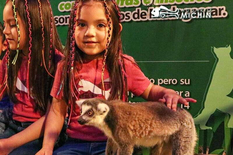 Puebla: Ticket to Aquarium Michin - Key Points