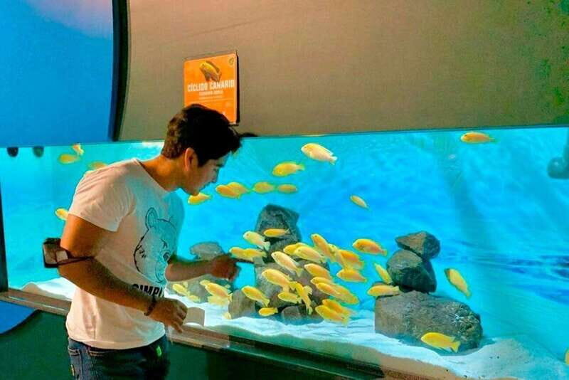 Puebla: Ticket to Aquarium Michin - Who Would Enjoy This Experience?