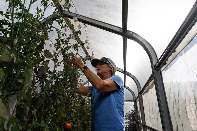 Pueo Farm Private Tour - Upcountry Maui Hawaii - Who Will Love This Tour?