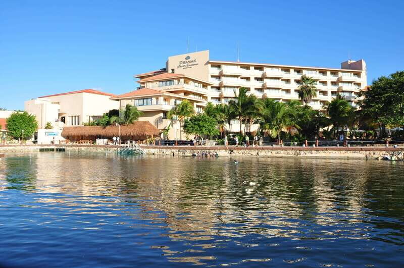 Puerto Aventuras: Amazing Dolphin Encounter with Lunch - Key Points