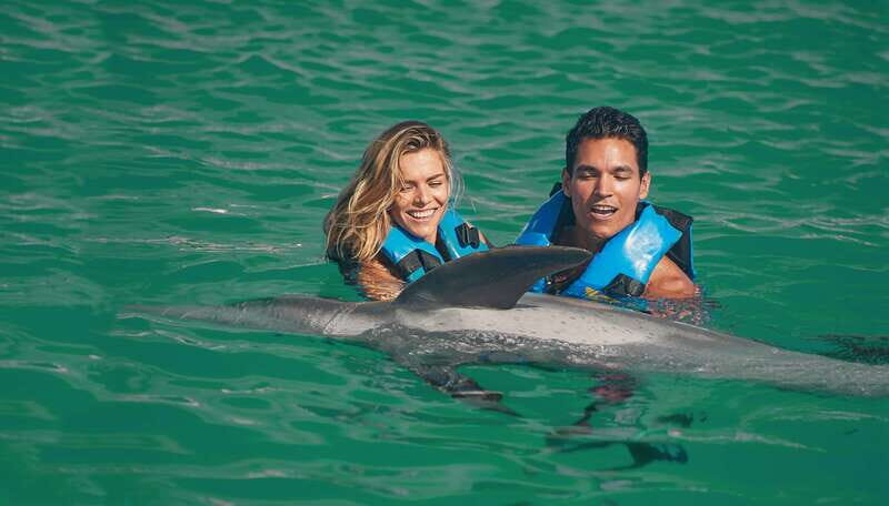 Puerto Aventuras: Amazing Dolphin Encounter with Lunch - Who Will Love This Tour?