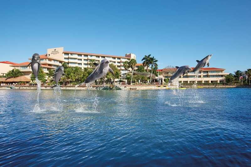 Puerto Aventuras: Amazing Dolphin Encounter with Lunch - The Sum Up: Is It Worth It?
