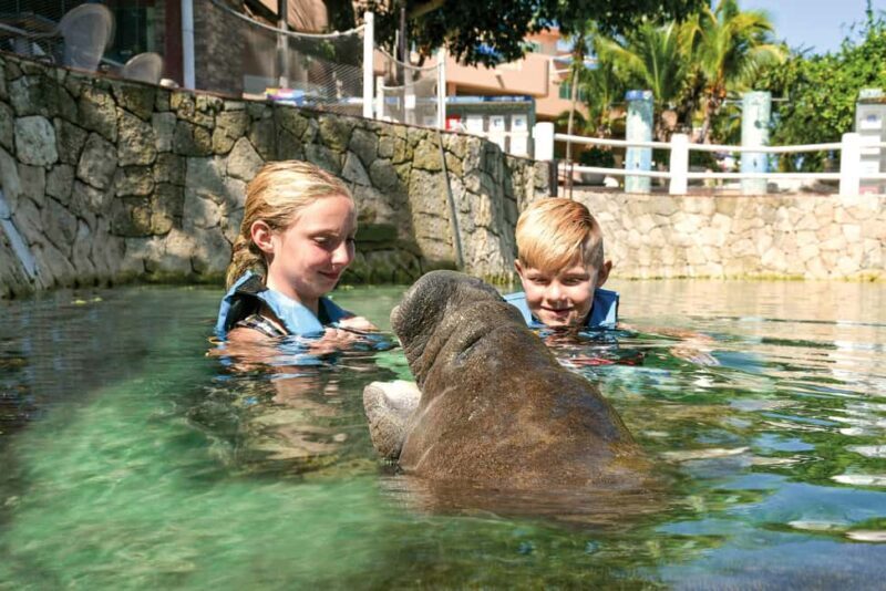 Puerto Aventuras: Dolphin and Manatee Interaction with Lunch - Who Should Consider This Tour?