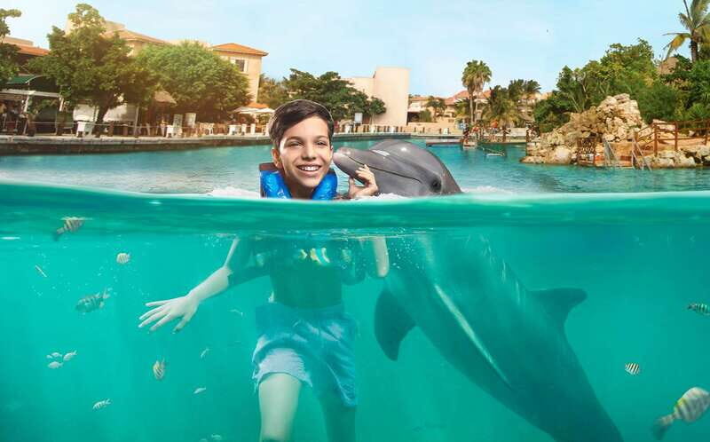 Puerto Aventuras: Dolphin Encounter with Buffet Lunch - Key Points