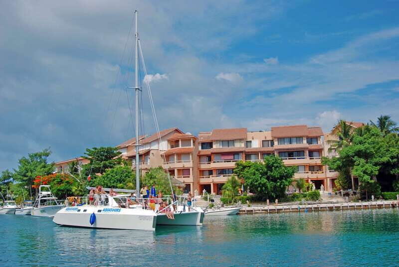 Puerto Aventuras: Dolphin Encounter with Buffet Lunch - In-Depth: What You Can Expect