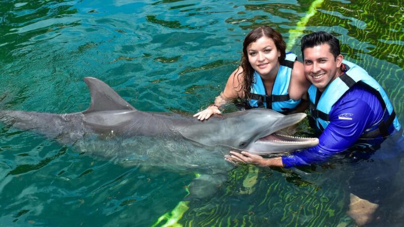 Puerto Aventuras: Dolphin & Manatee Encounter with lunch - Discovering the Puerto Aventuras Dolphin & Manatee Encounter with Lunch