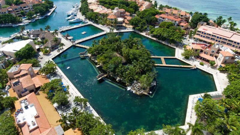 Puerto Aventuras: Dolphin & Manatee Encounter with lunch - What the Experience Means for Travelers