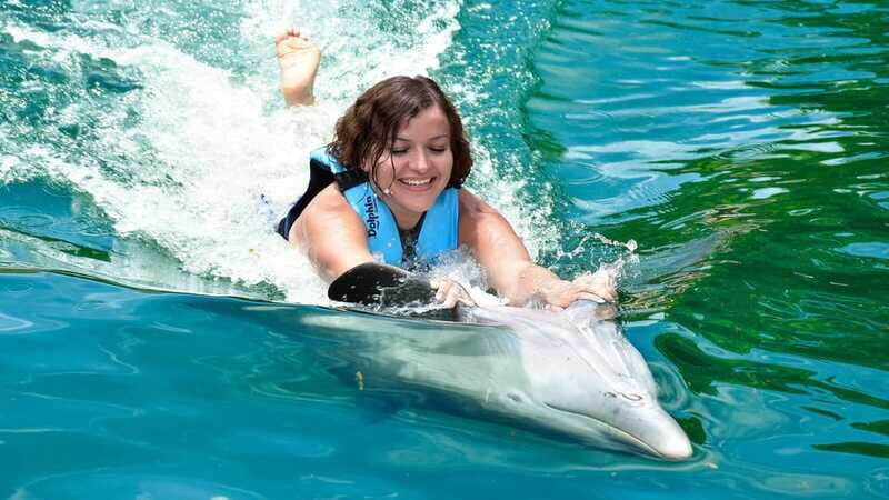 Puerto Aventuras: Dolphin & Manatee Encounter with lunch - Who Will Love This Tour