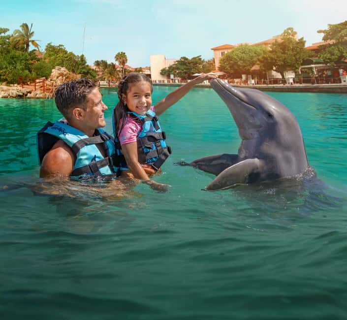 Puerto Aventuras: Dolphin & Manatee Encounter with lunch - The Sum Up