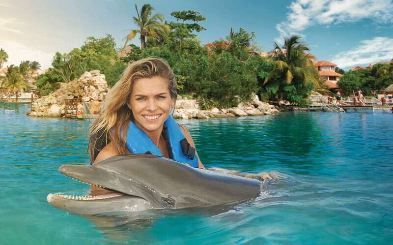 Puerto Aventuras: Dolphin Swim, Sea Lions, Manatees, & Lunch - Who Should Consider This Tour?