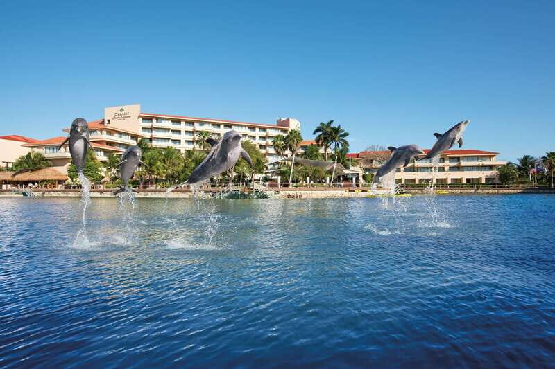 Puerto Aventuras: Dolphins, Manatee & Sea Lion interaction - A Detailed Look at the Puerto Aventuras Marine Encounter