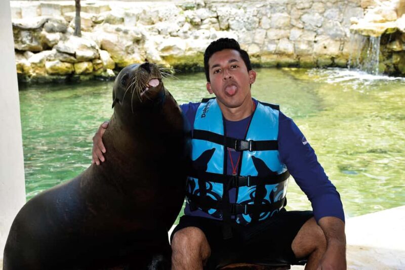 Puerto Aventuras: Dolphins, Manatee & Sea Lion interaction - Who Will Enjoy This Tour?