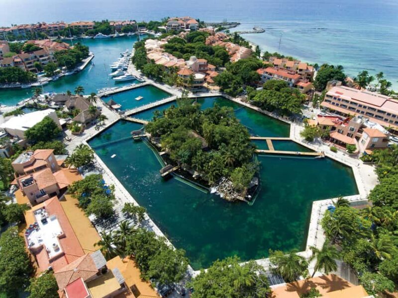 Puerto Aventuras: Dolphins, Manatee & Sea Lion interaction - FAQs