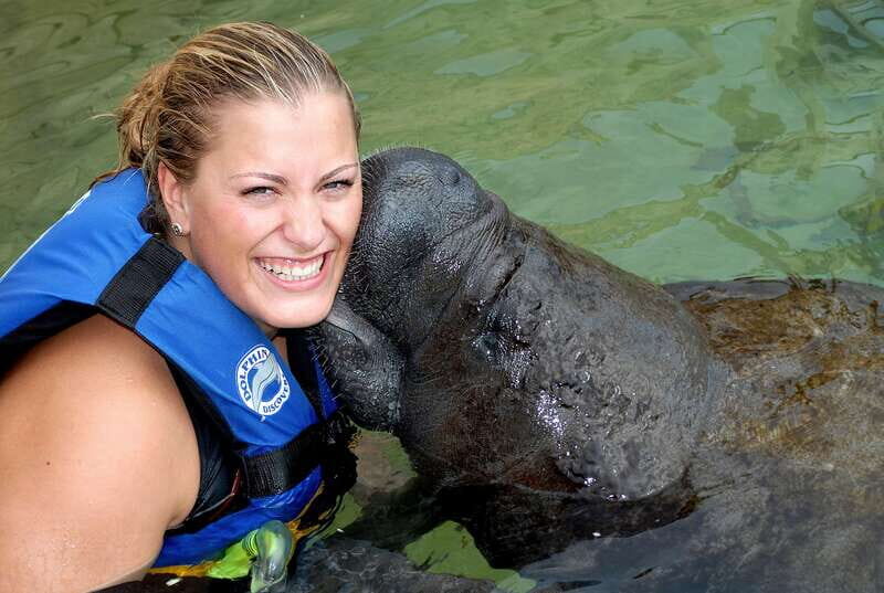 Puerto Aventuras: Manatee Encounter - What to Expect on This Tour