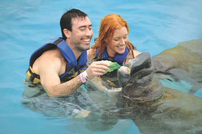 Puerto Aventuras: Manatee Encounter - Who Is This Tour Best For?