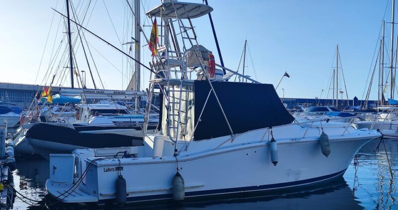 Puerto Colón: Coastal Boat Cruise with Swimming and Snacks - Final Thoughts: Who Is This Tour Perfect For?