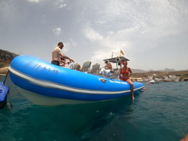 Puerto Colon: Dolphin and Whale Watching Speedboat Cruise - Key Points