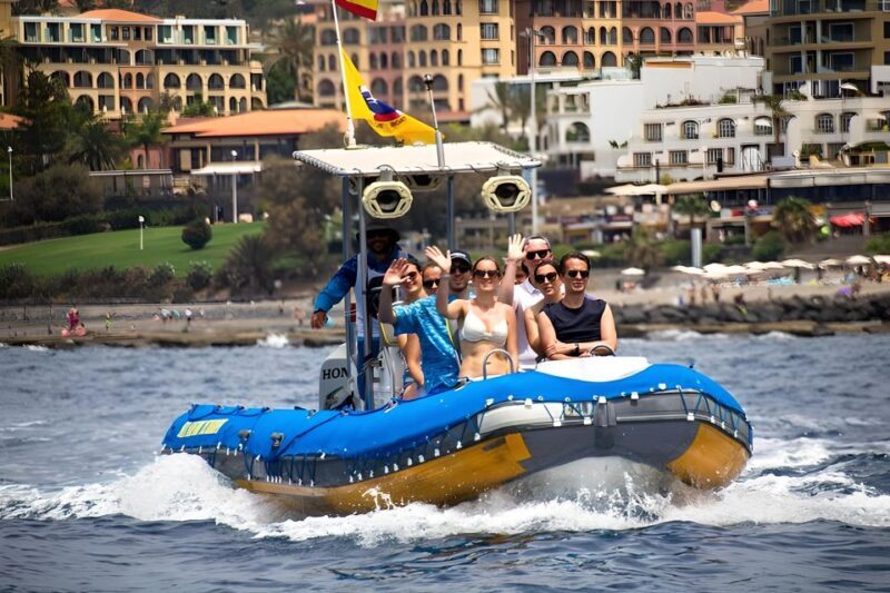 Puerto Colon: Dolphin and Whale Watching Speedboat Cruise - An In-depth Look at the Experience