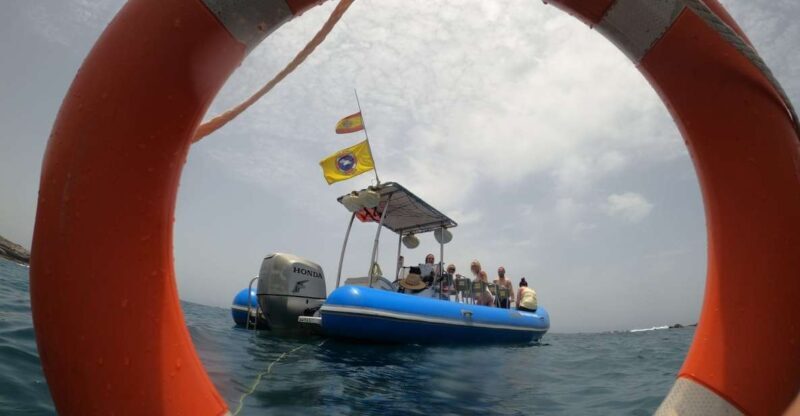 Puerto Colon: Dolphin and Whale Watching Speedboat Tour - Puerto Colon: Dolphin and Whale Watching Speedboat Tour – An Authentic Marine Adventure