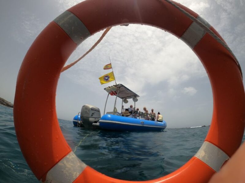 Puerto Colon: Dolphin and Whale Watching Speedboat Tour - Key Points