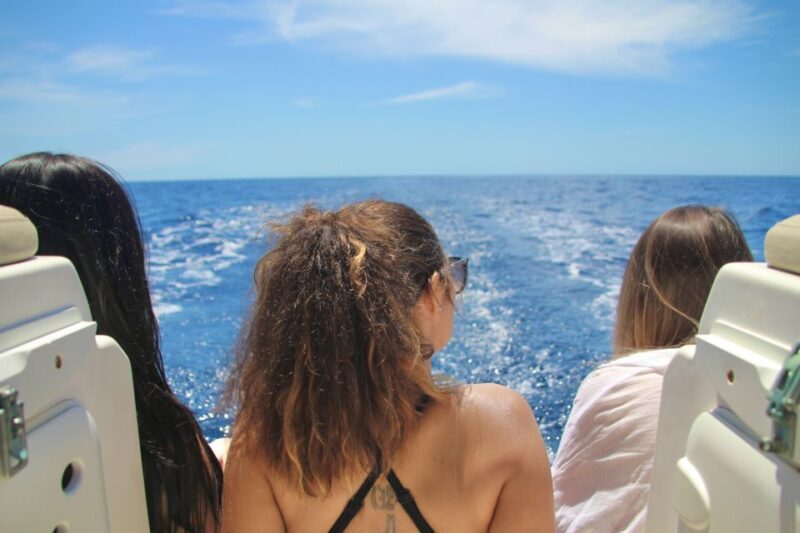 Puerto Colon : Whale & Dolphins Sailing Excursion - An In-Depth Look at the Experience