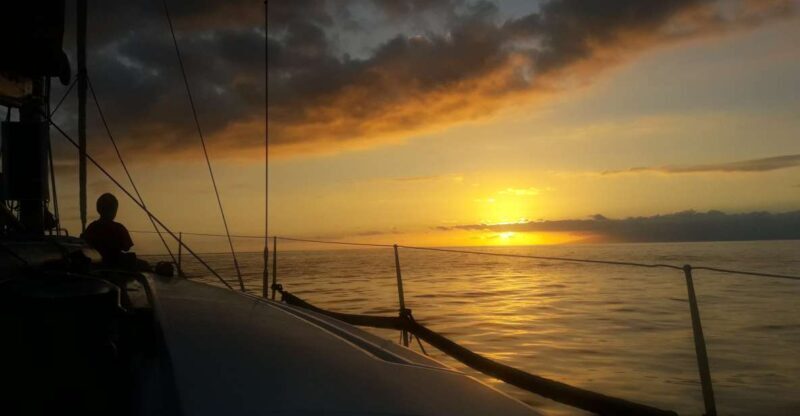 Puerto Colon: Whale-Watching Sailing Tour with Meal & a Swim - Navigating the Experience: What to Expect