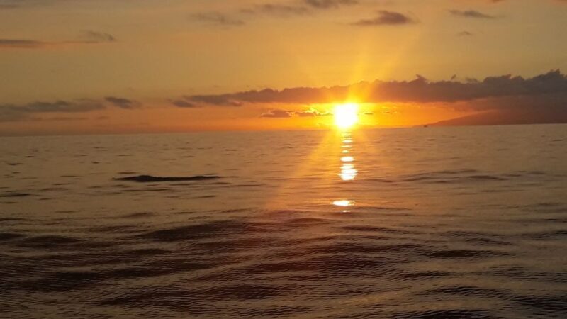 Puerto Colon: Whale-Watching Sailing Tour with Meal & a Swim - Pricing and Value Analysis