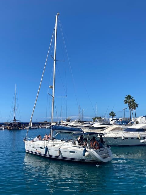 Puerto Colon: Whale-Watching Sailing Tour with Meal & a Swim - FAQs