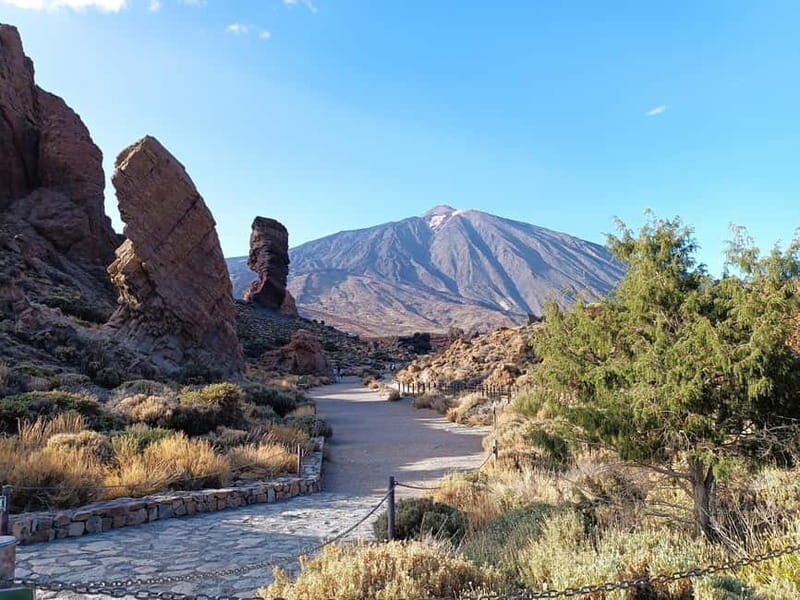 Puerto Cruz: VIP Teide Sunset & Stars, Guachiche Lunch+Cava - Scenic Stops and Panoramic Views