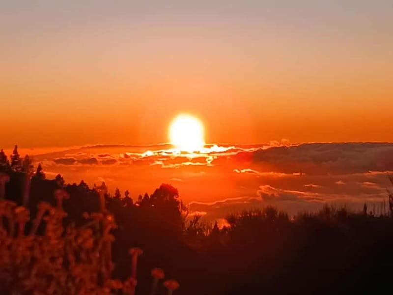 Puerto Cruz: VIP Teide Sunset & Stars, Guachiche Lunch+Cava - Scenic Drive to El Portillo Visitor Center