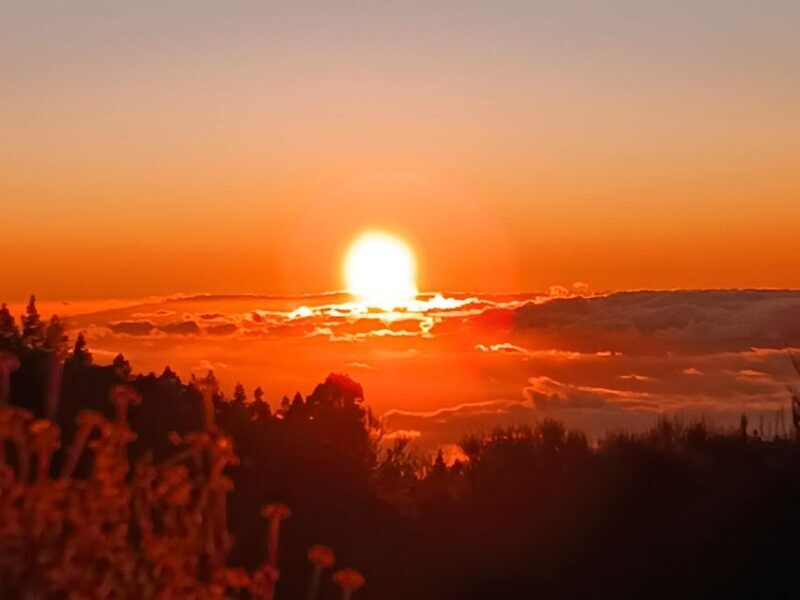 Puerto Cruz: VIP Teide Sunset & Stars, Guachiche Lunch+Cava - Stargazing in Teide National Park