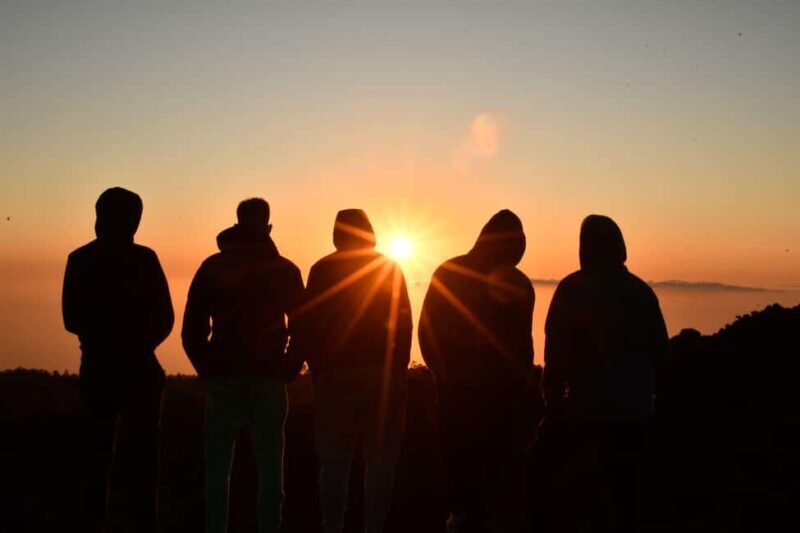 Puerto de la Cruz: Buggy Teide Sunset National Park - Who Would Love This Tour?