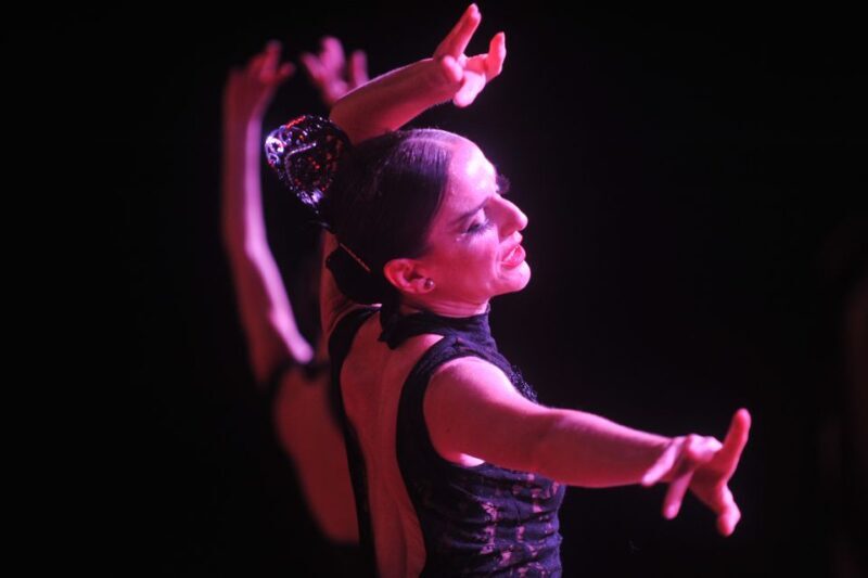 Puerto de la Cruz: Flamenco Show at Casa Ábaco with a Drink - What to Expect During Your Visit